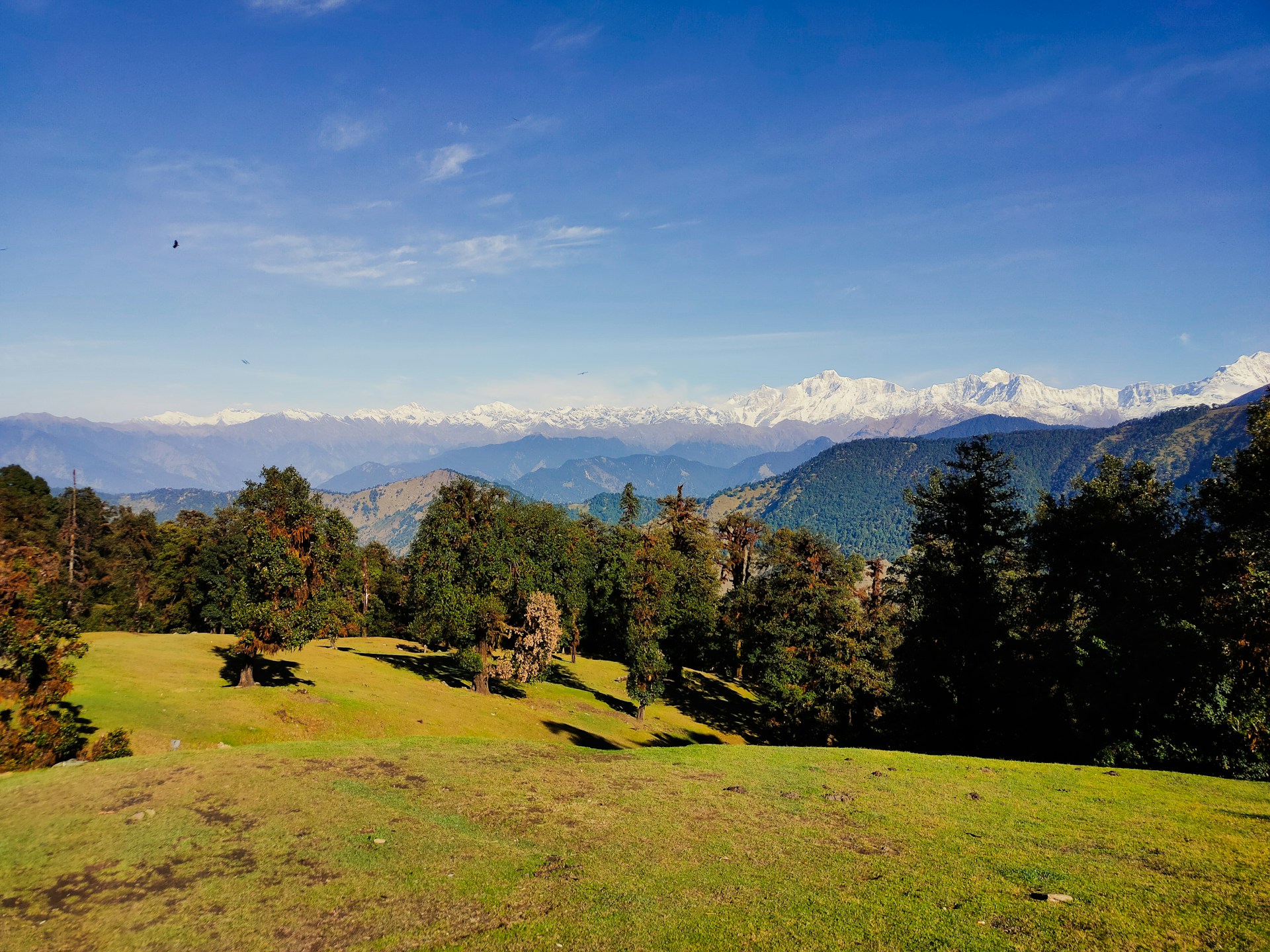 Chopta, Uttarakhand – The Mini Switzerland of India – Mountains Thrill