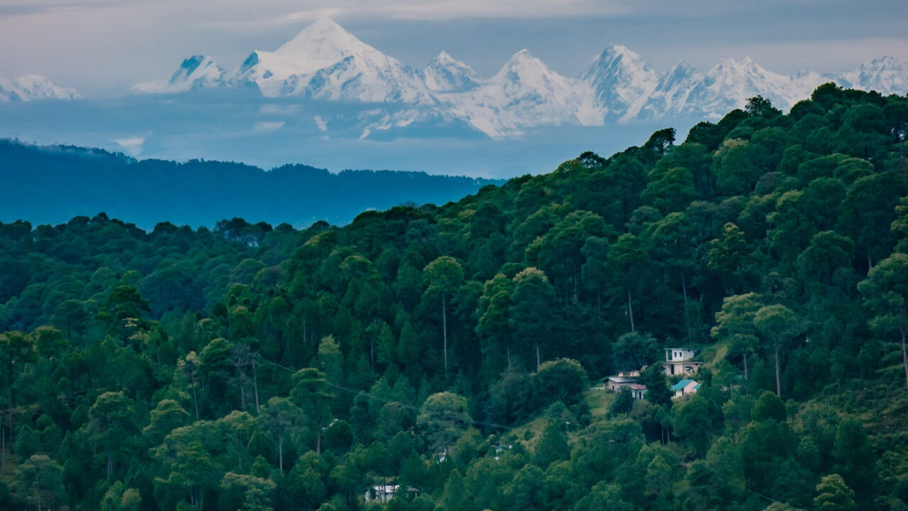 Best Ashrams for an Affordable Stay in Rishikesh – Mountains Thrill